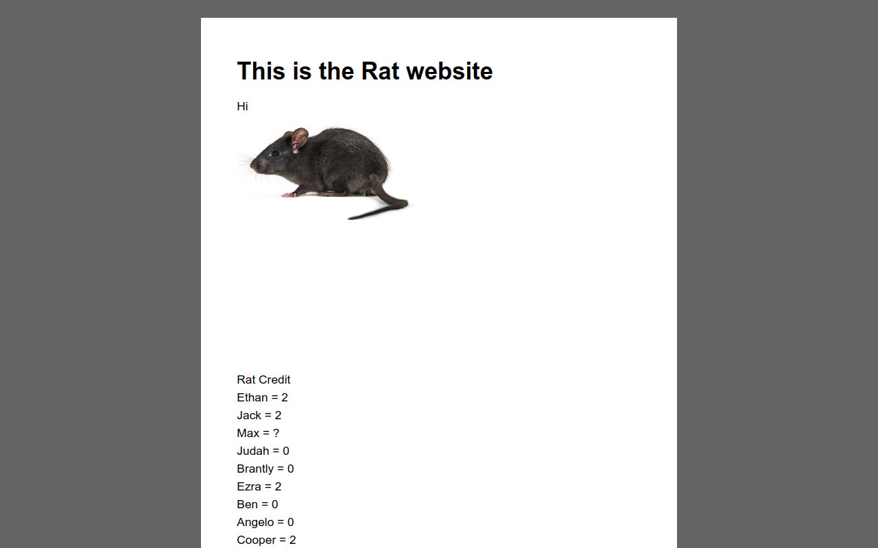 Rat Website